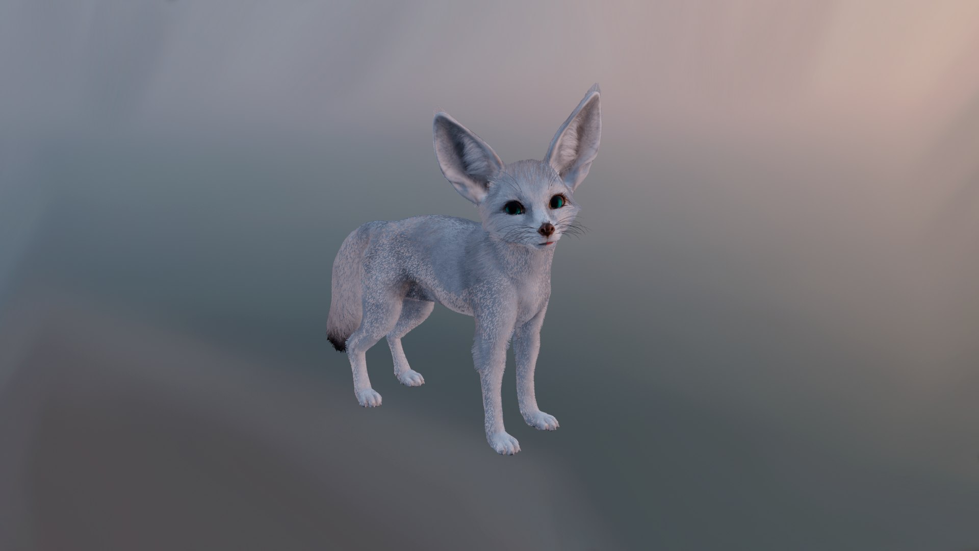 3D Fennec Fox Model - TurboSquid 1872571