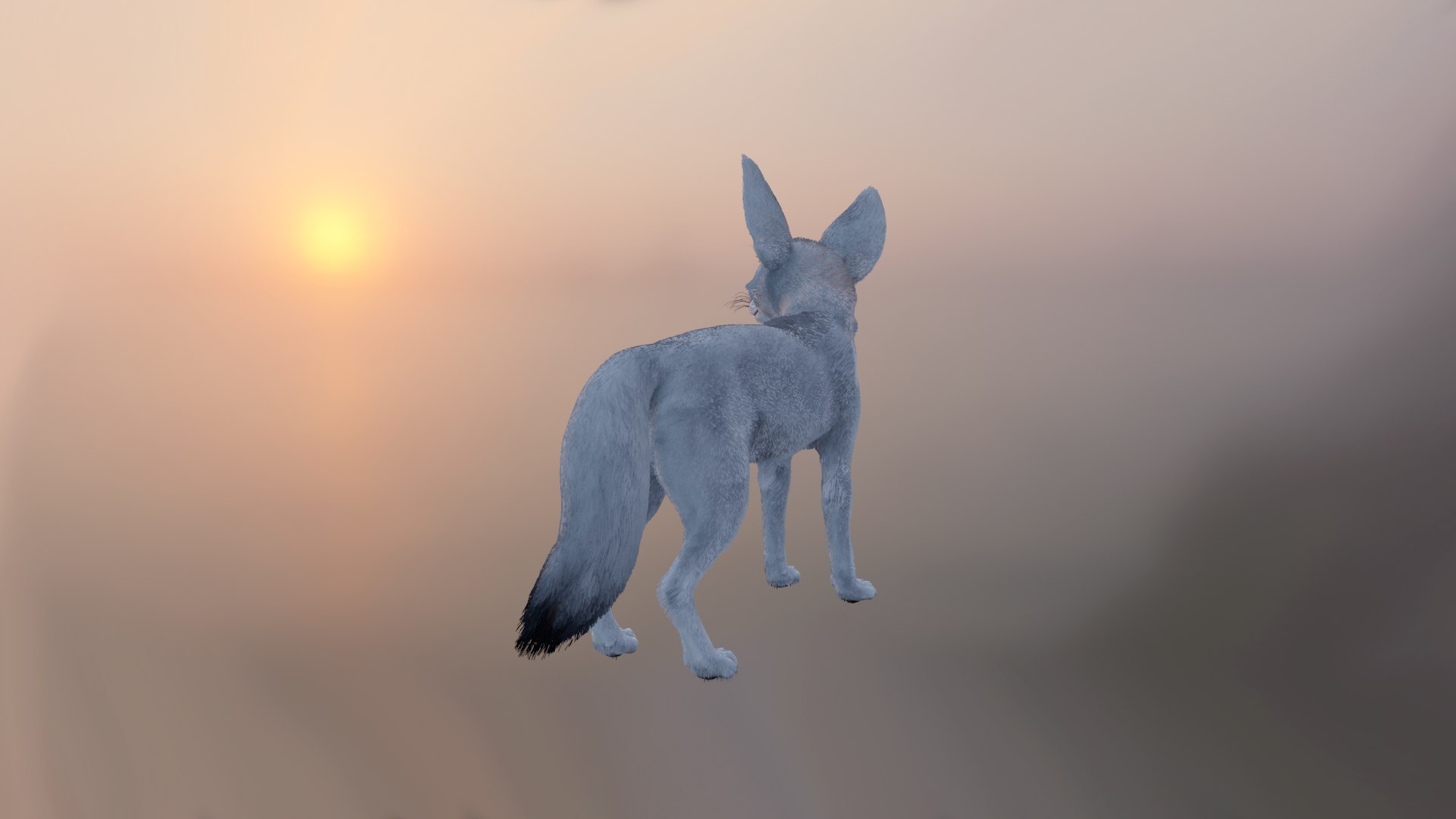 3D Fennec Fox Model - TurboSquid 1872571