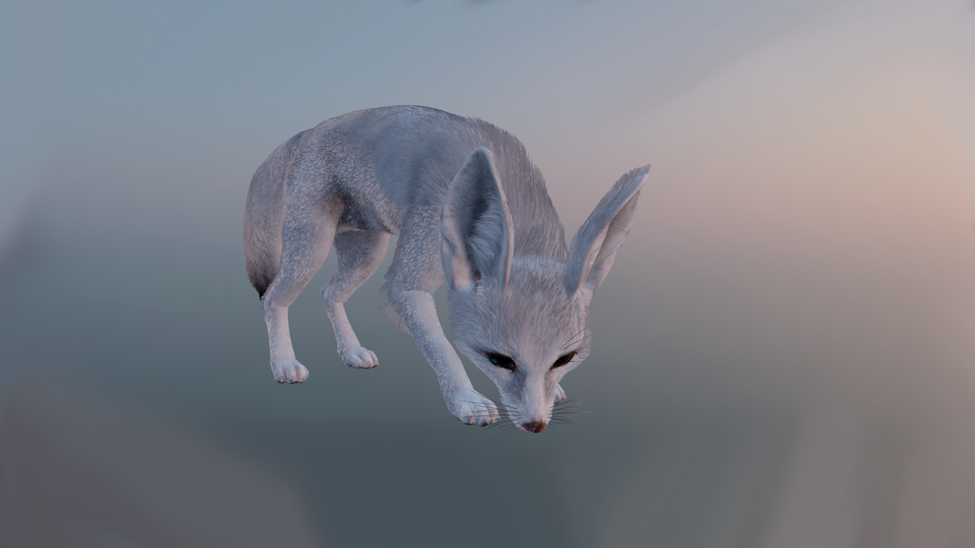 3D Fennec Fox Model - TurboSquid 1872571