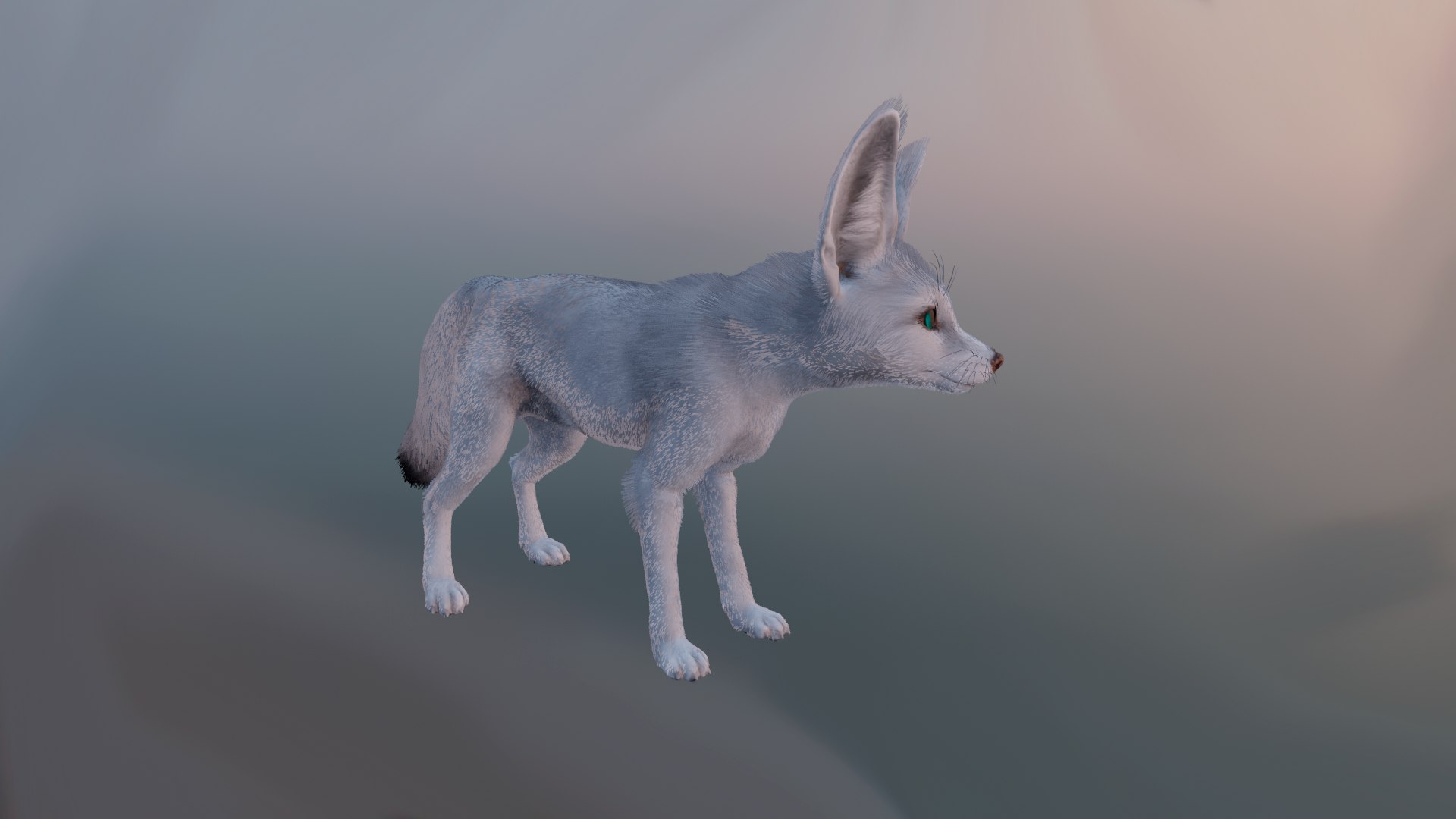 3D Fennec Fox Model - TurboSquid 1872571