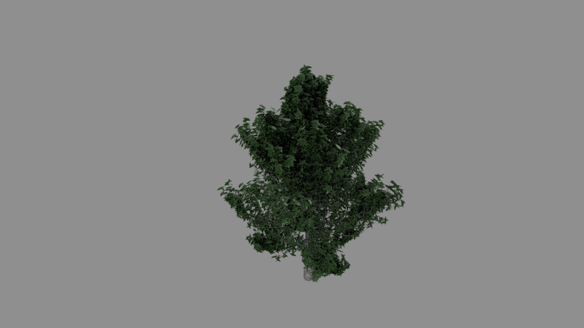 Tree 3d Model