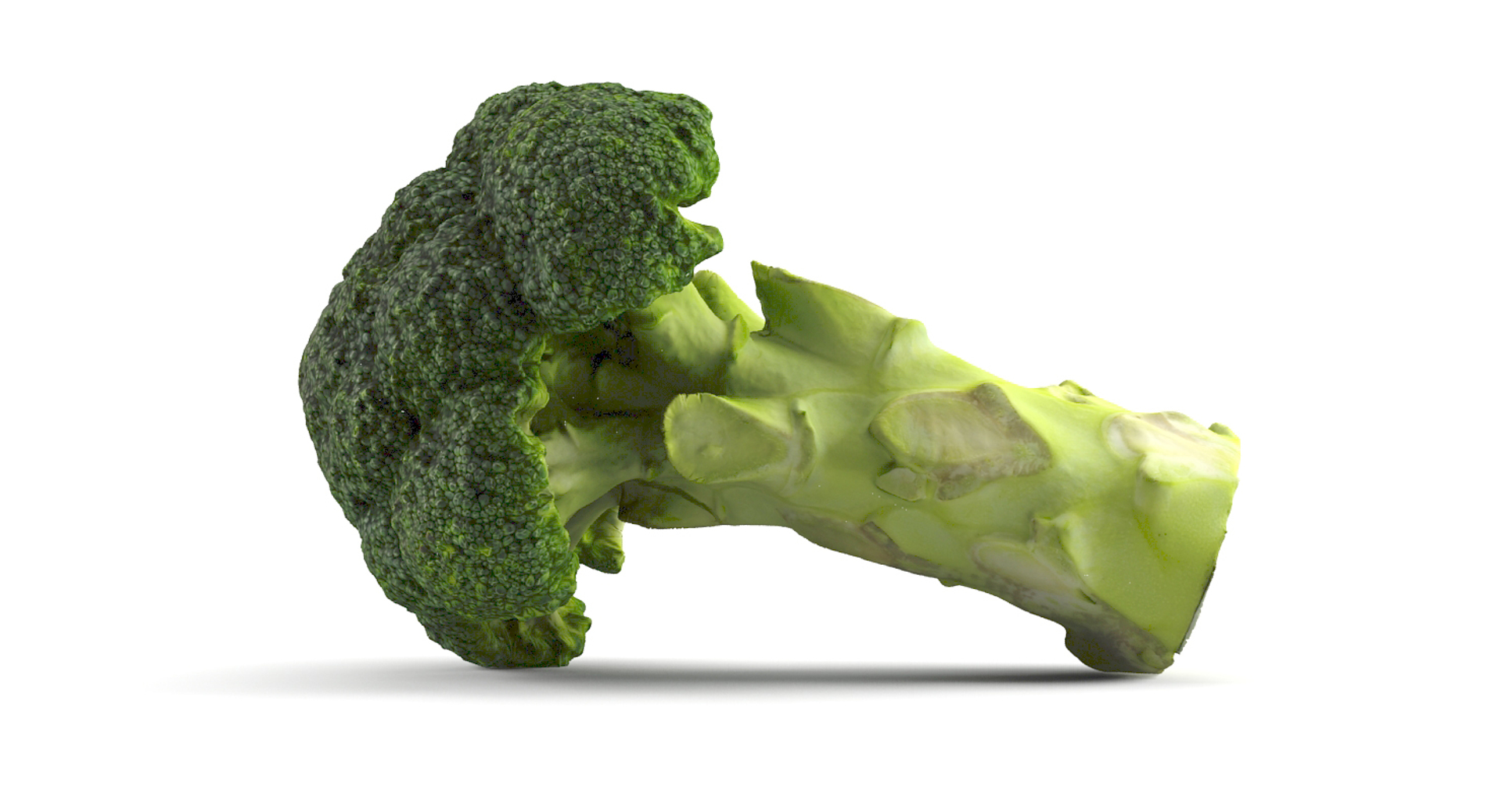 Broccoli Max