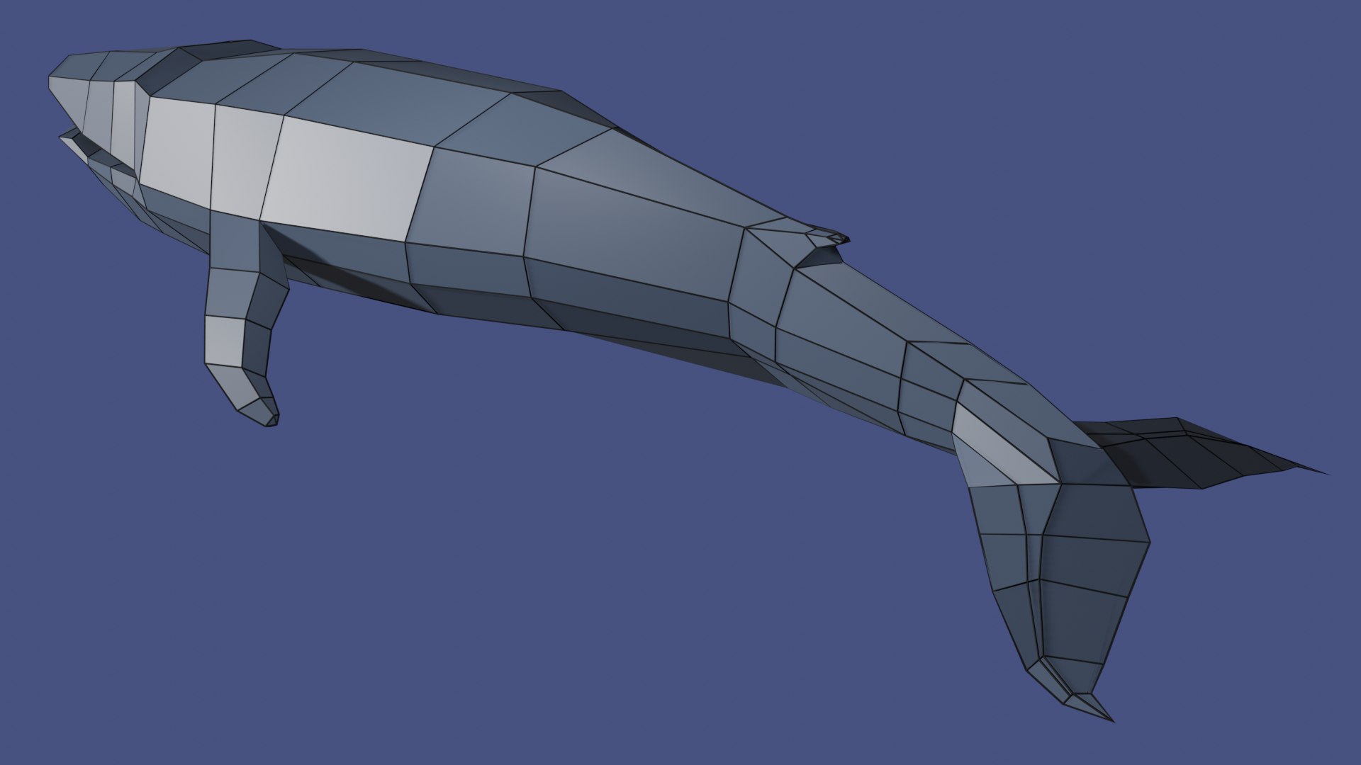 Free Whale Swimming Animation Model - TurboSquid 1560985