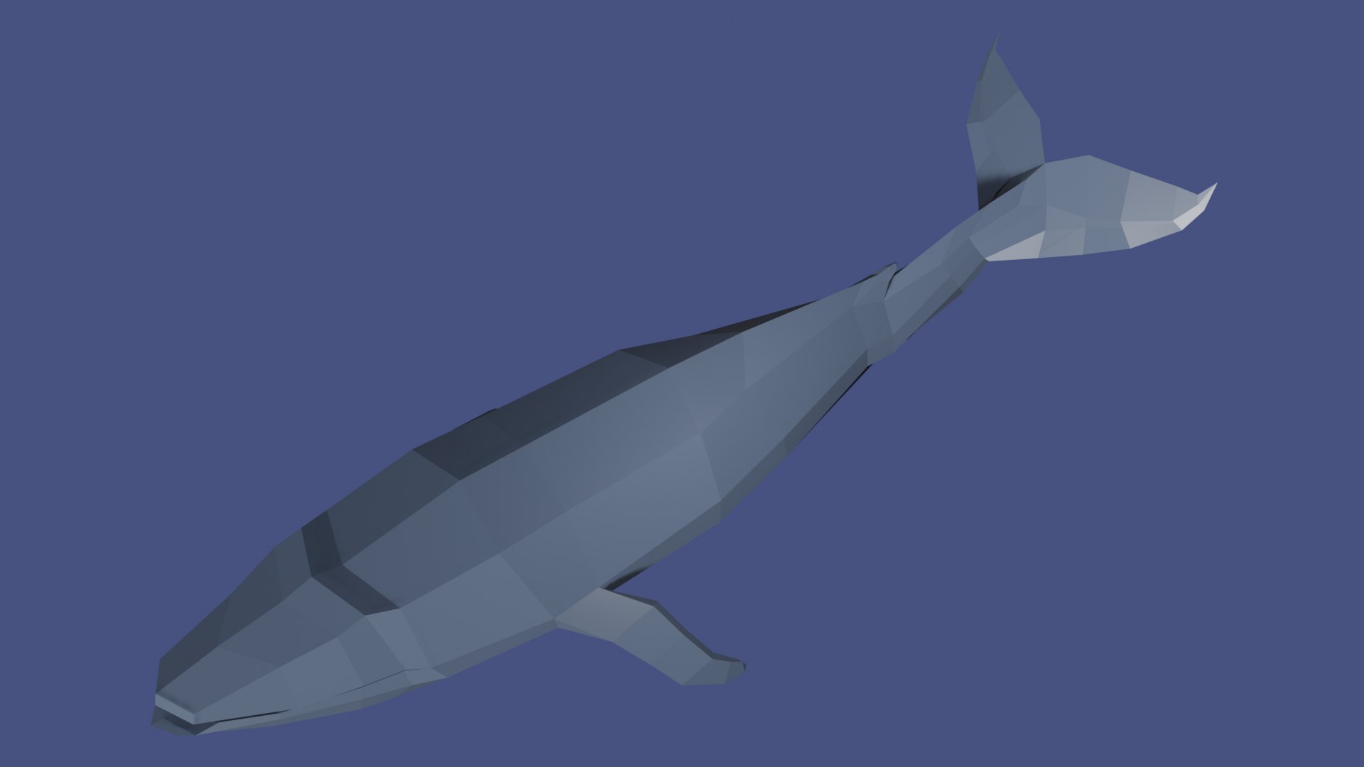 Free Whale Swimming Animation Model - TurboSquid 1560985