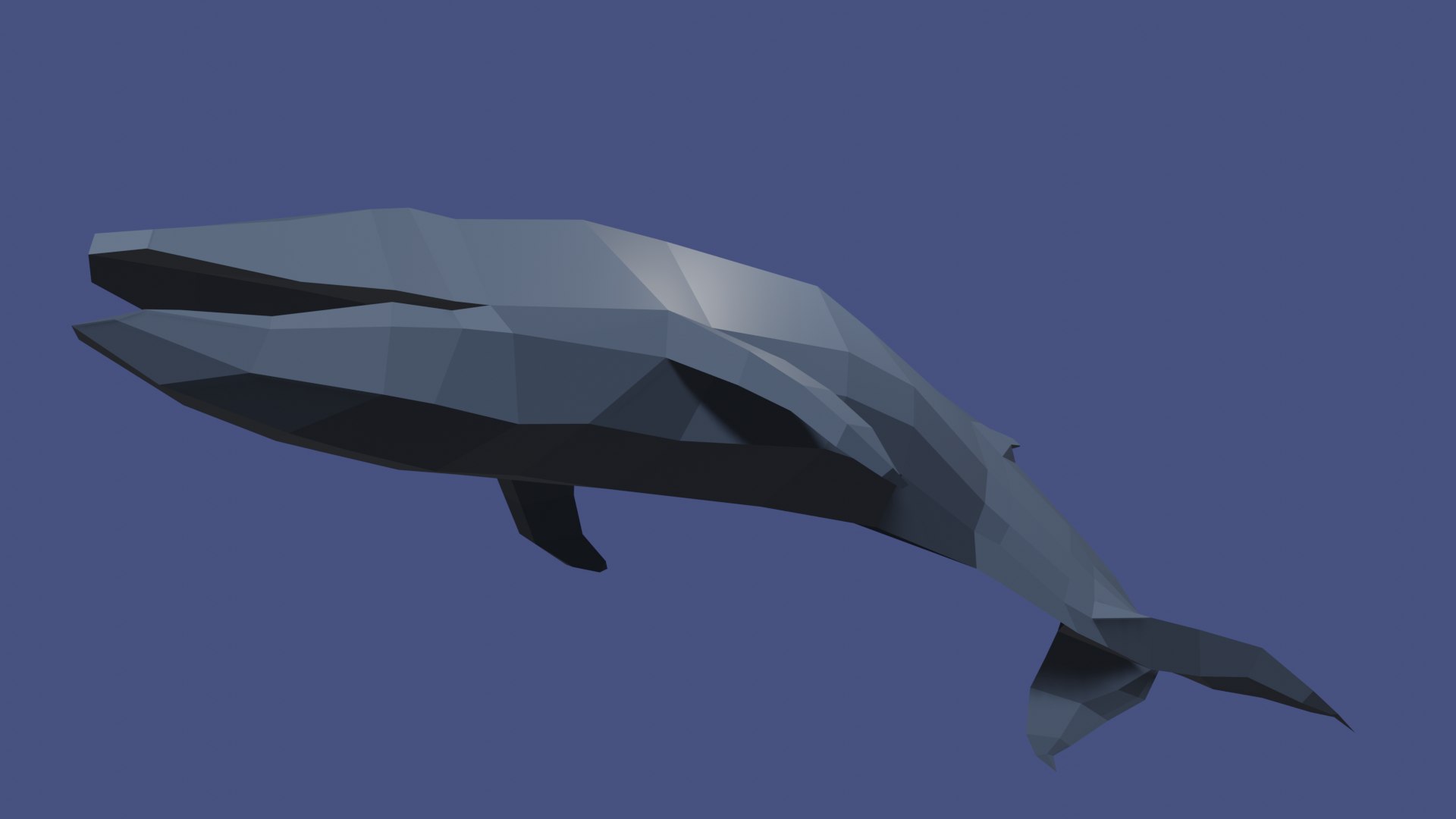 Free Whale Swimming Animation Model - TurboSquid 1560985