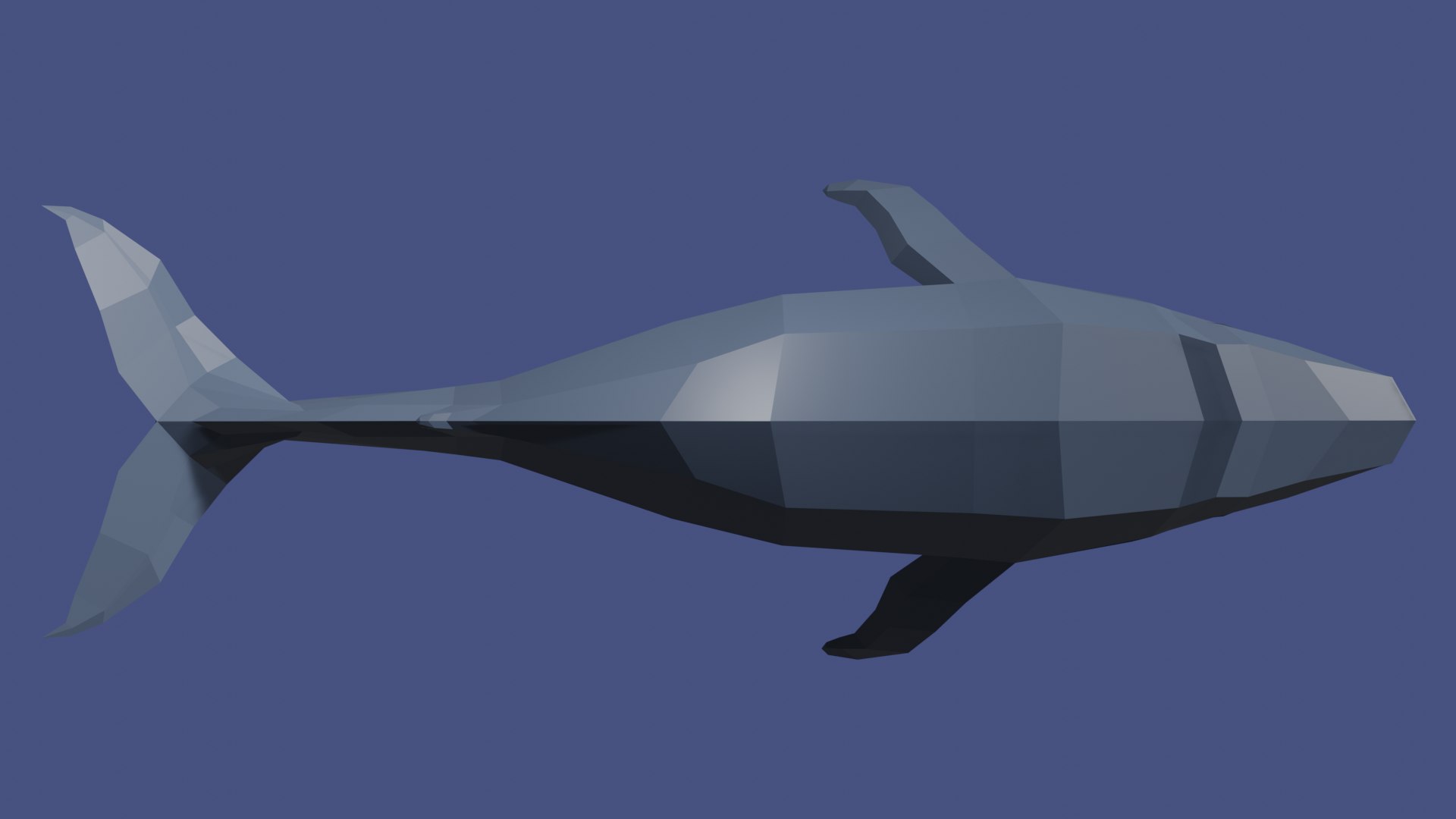 Free Whale Swimming Animation Model - TurboSquid 1560985