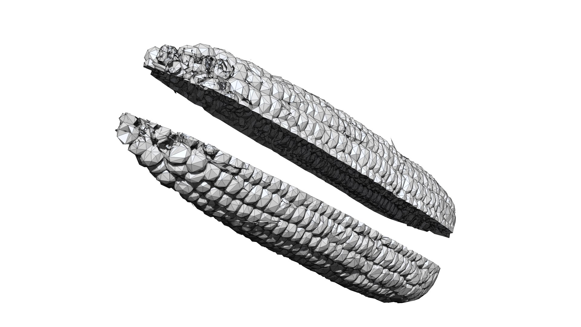 Corn 3D CT Scan Model Cut1 Decimate 3 Percent Model - TurboSquid 1945209