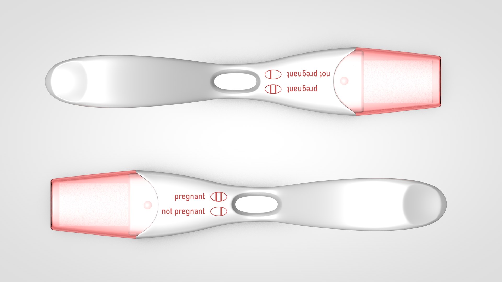 Pregnancy Test 3d Model