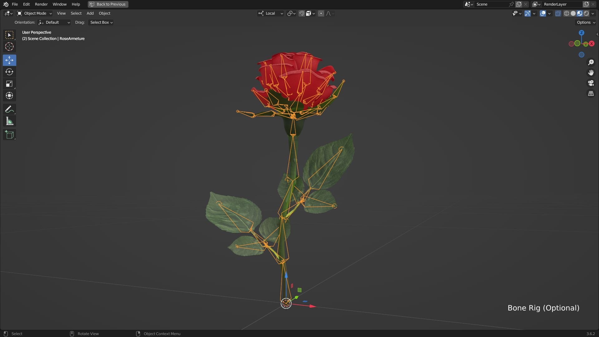 Realistic Rose Flower Blooming 3D Model - TurboSquid 1399342