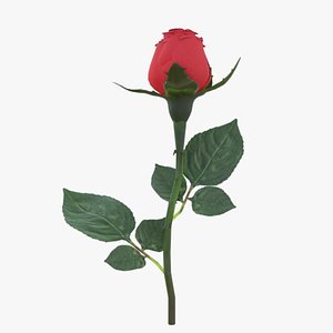 Rose Blender Models for Download | TurboSquid