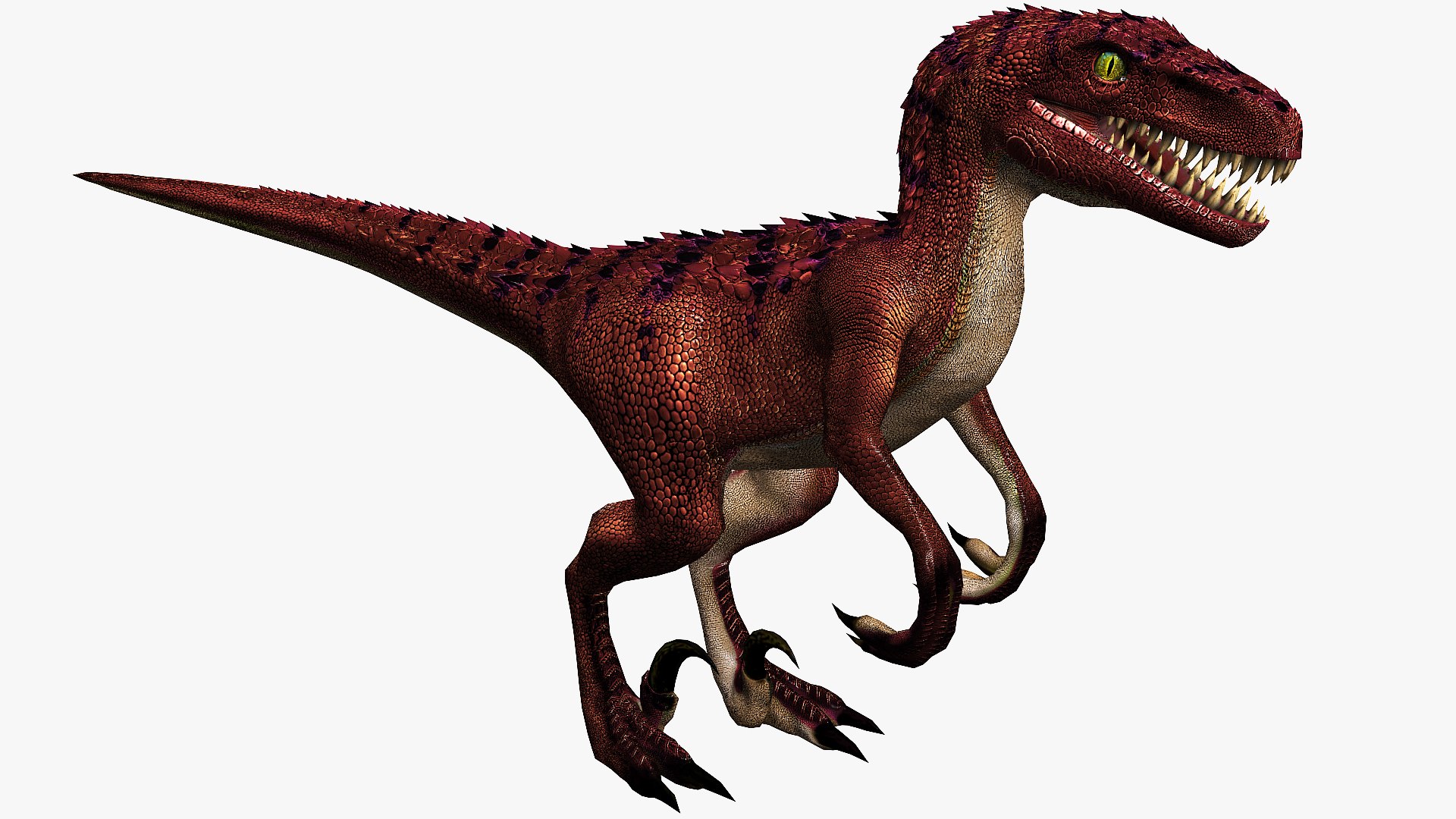 Raptor Velociraptor Dinosaur Model - TurboSquid 1430395