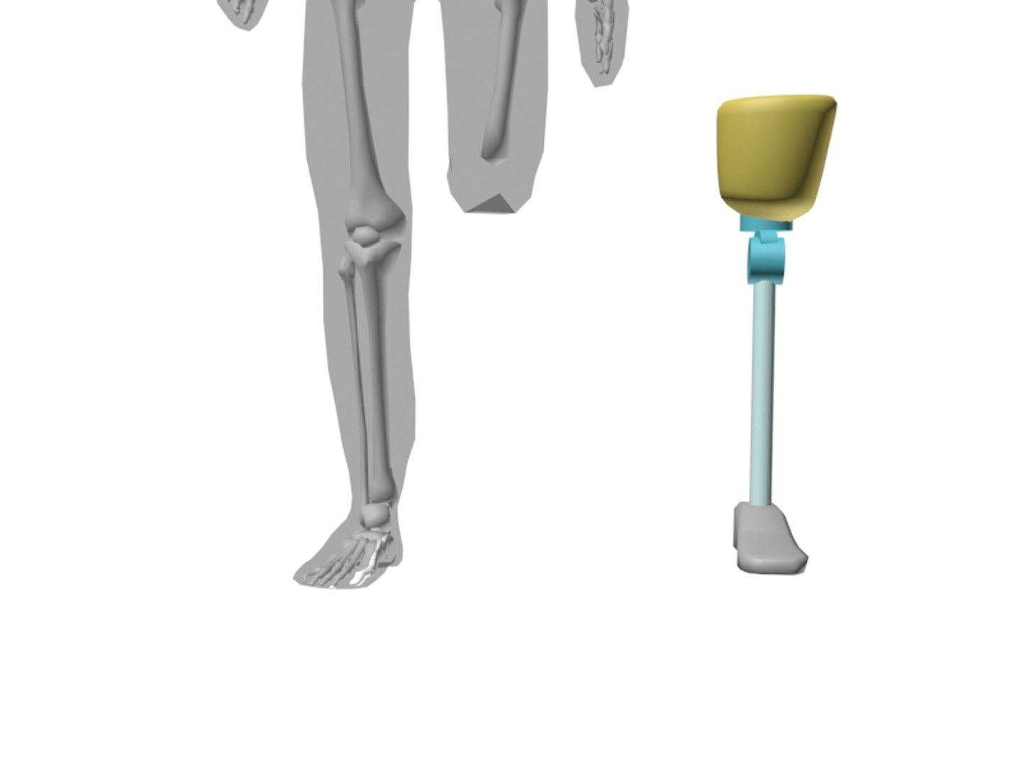 amputee transfemoral 3d max
