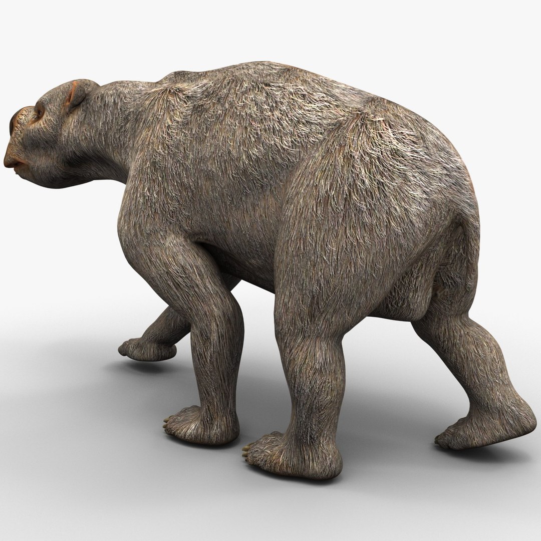 3d model diprotodon pose 1