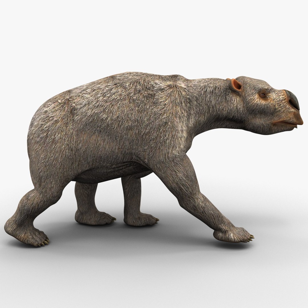 3d model diprotodon pose 1
