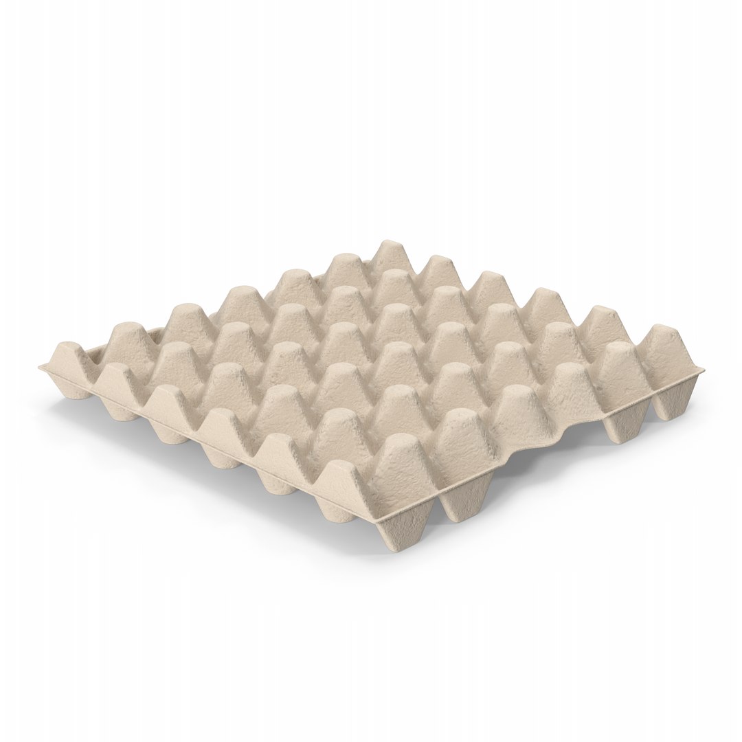 Egg Carton 3D Model - TurboSquid 2205891