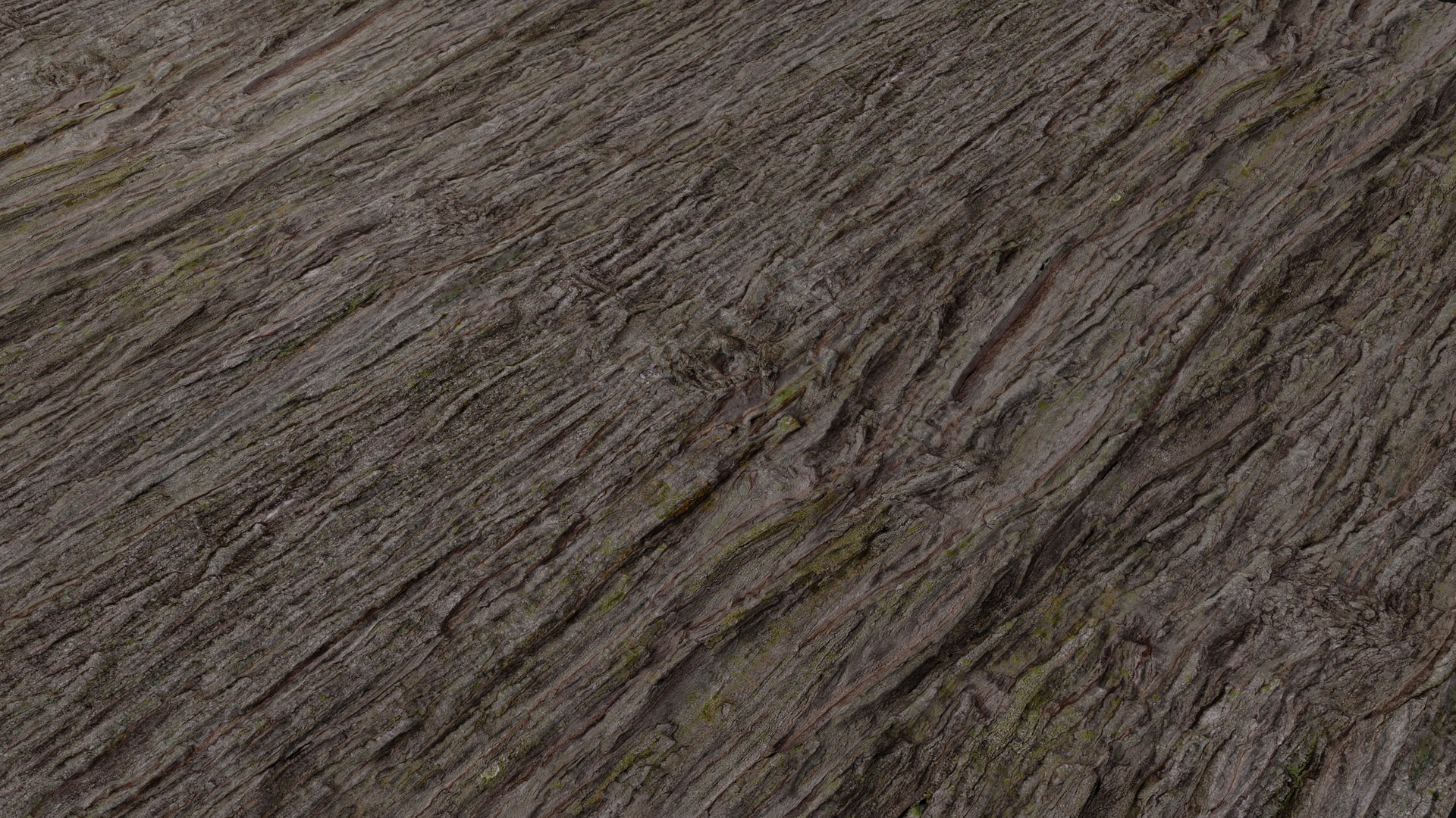 3D Old Maple PBR Tiled Texture 8K - TurboSquid 2236805