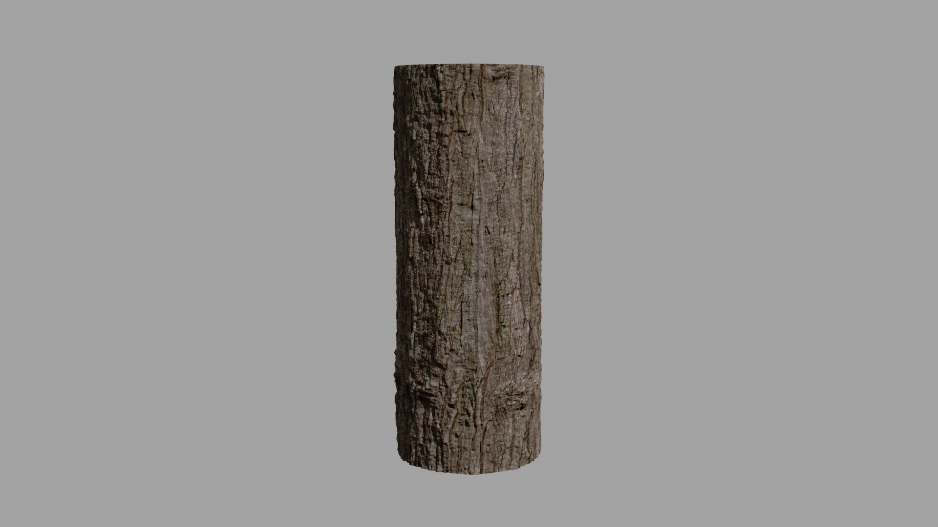 3D Old Maple PBR Tiled Texture 8K - TurboSquid 2236805