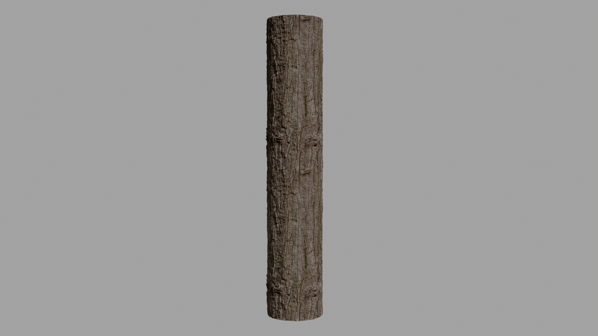 3D Old Maple PBR Tiled Texture 8K - TurboSquid 2236805