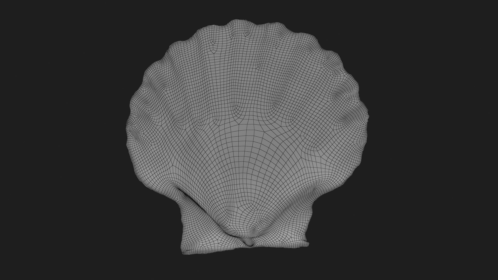 Clam Shell 02 3D Model - TurboSquid 2223902