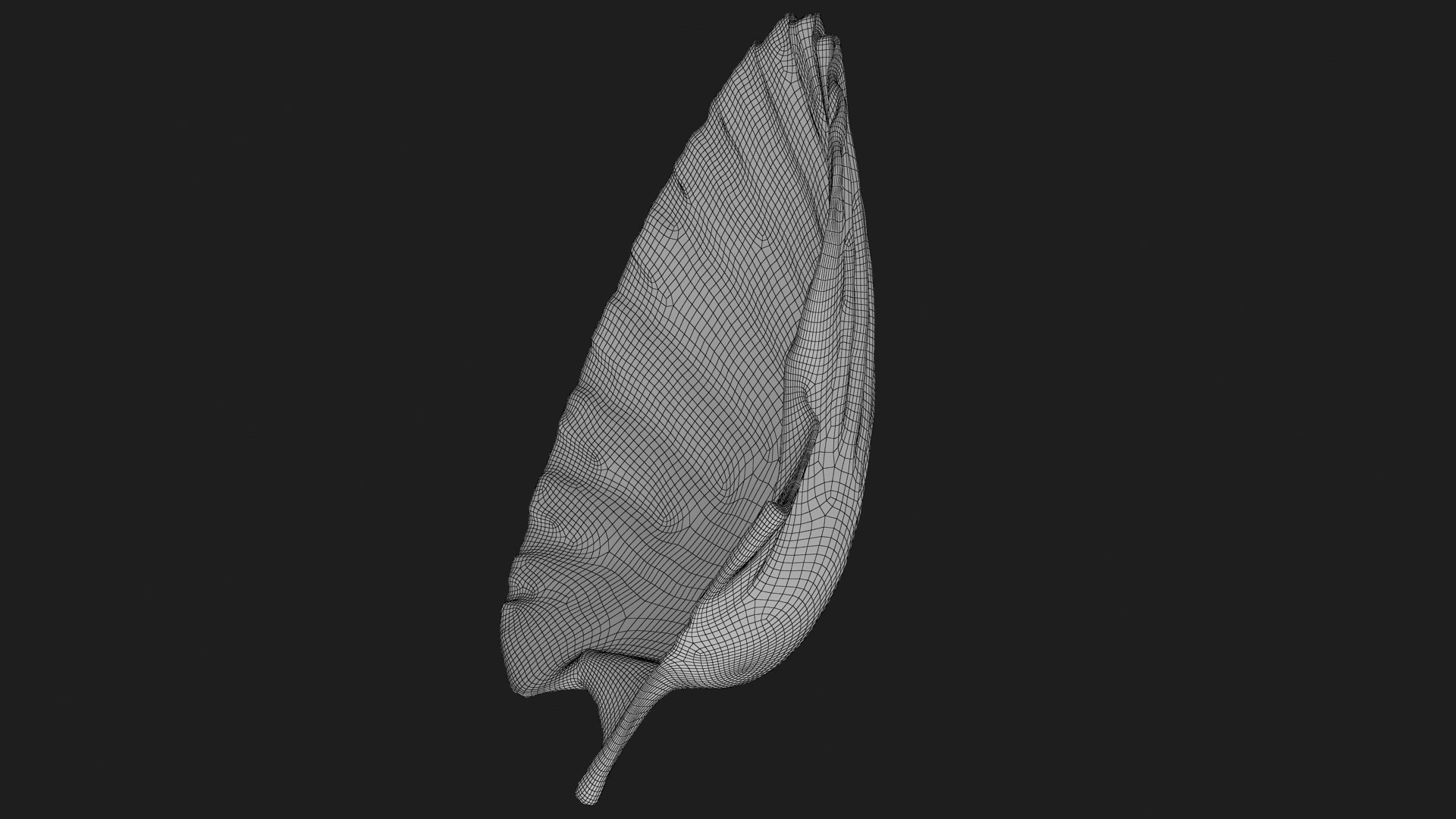 Clam Shell 02 3D Model - TurboSquid 2223902