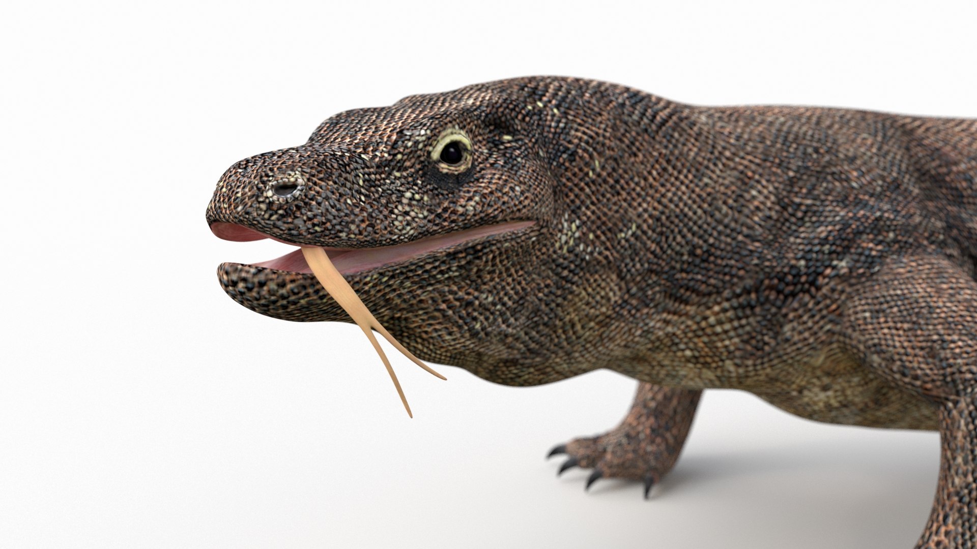 Komodo Dragon 3D Model - TurboSquid 1546865