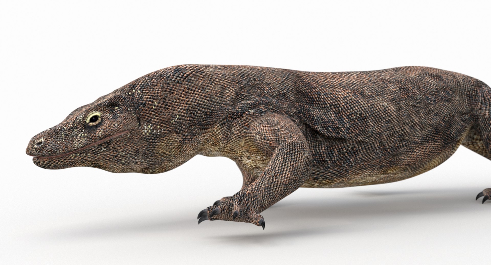 Komodo Dragon 3D Model - TurboSquid 1546865