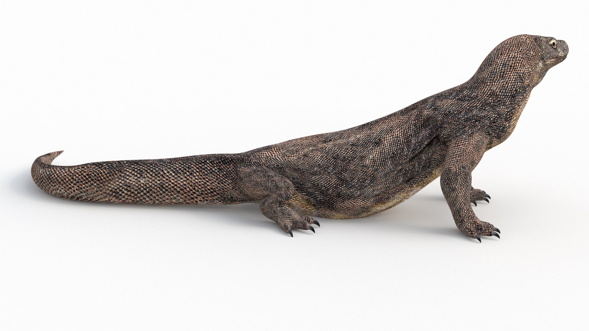 Komodo Dragon 3D Model - TurboSquid 1546865