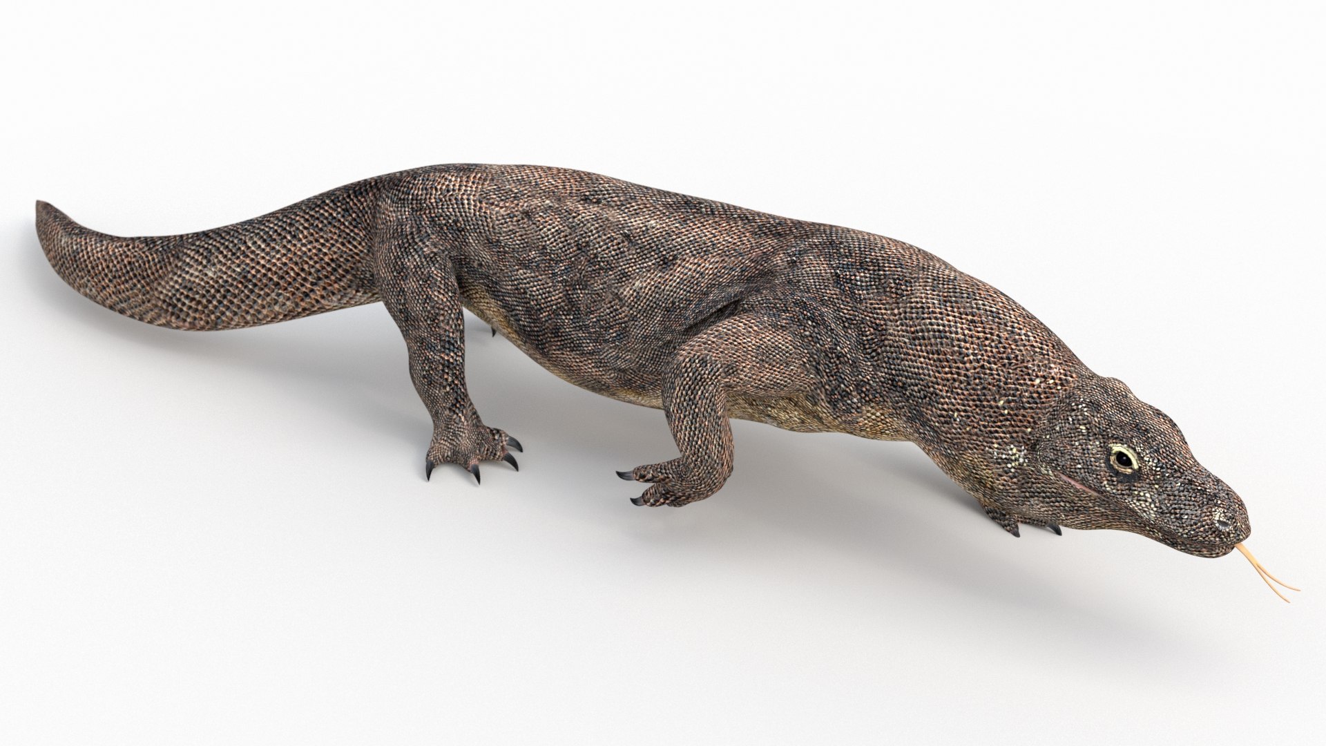 Komodo Dragon 3D Model - TurboSquid 1546865
