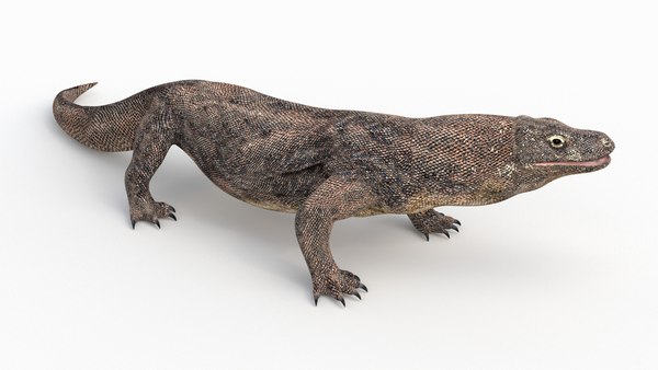 Komodo dragon 3D model - TurboSquid 1546865