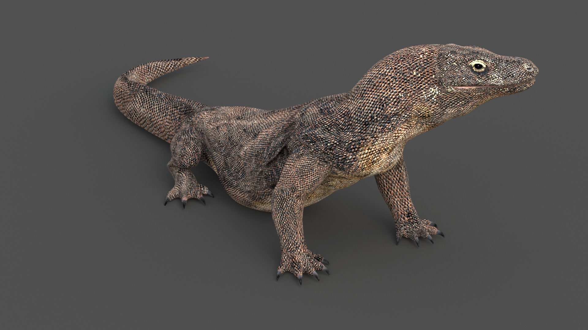 Komodo Dragon 3D Model - TurboSquid 1546865