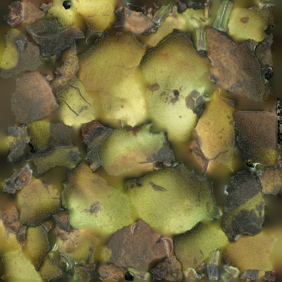 Rotten Pears 02 3D - TurboSquid 2275733