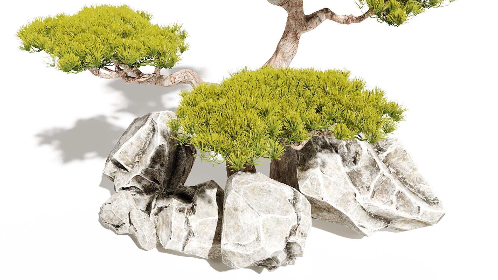 Japanese Tree Bonsai Model - TurboSquid 2221346