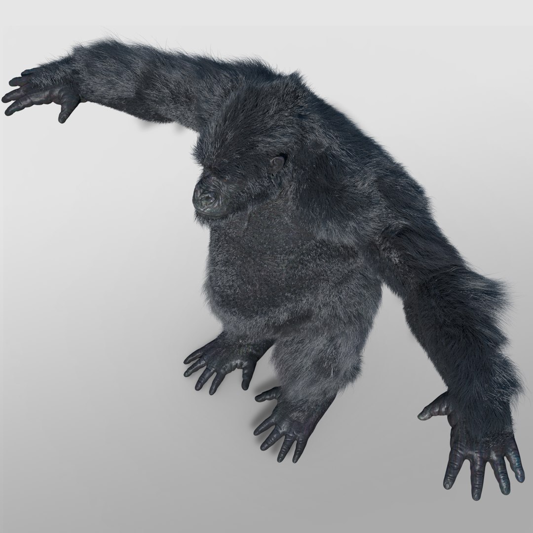 3d Ape Primate Gorilla Model