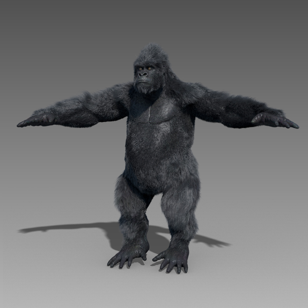 3d Ape Primate Gorilla Model