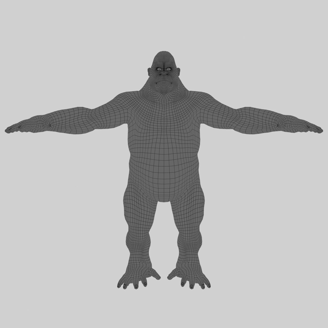 3d Ape Primate Gorilla Model