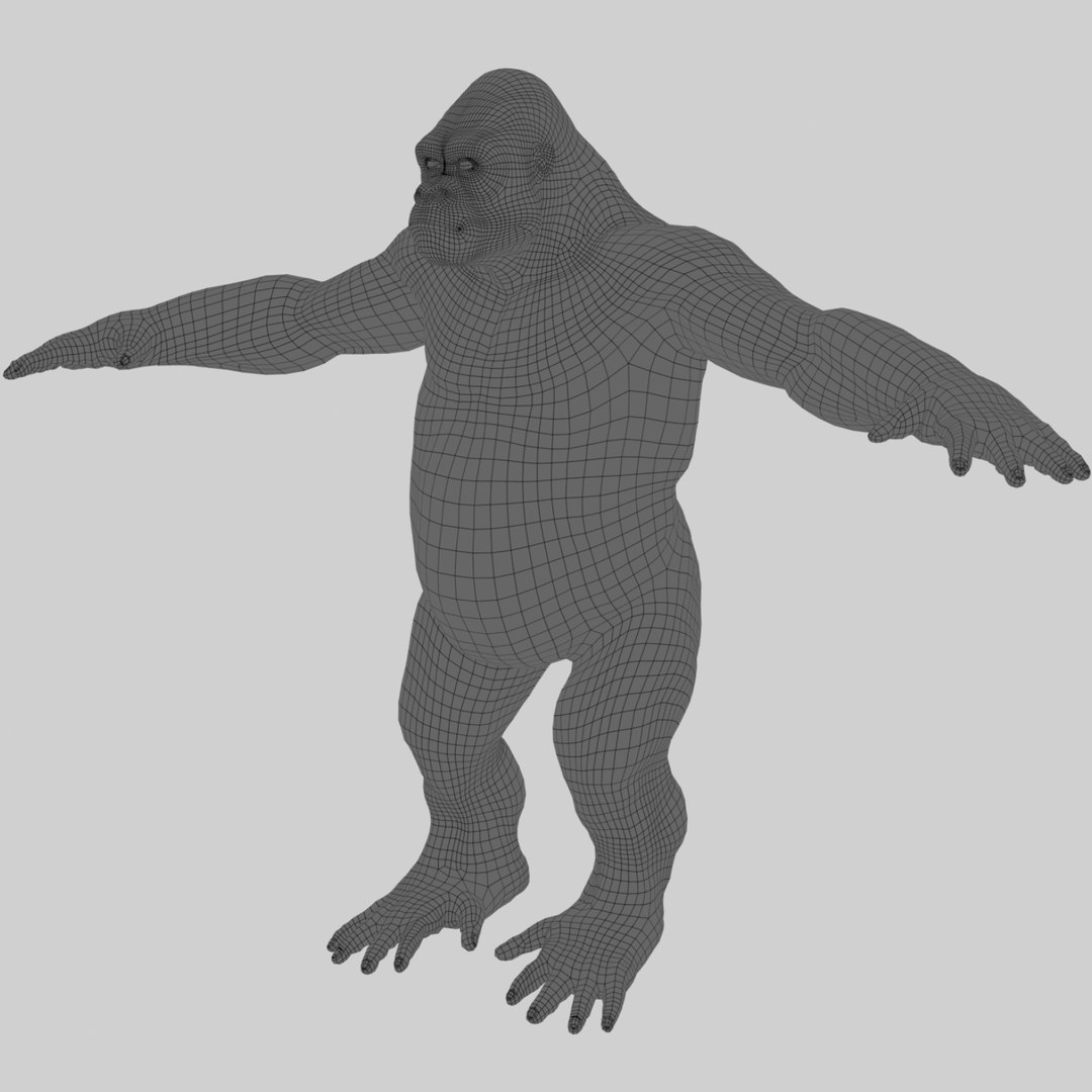 3d Ape Primate Gorilla Model