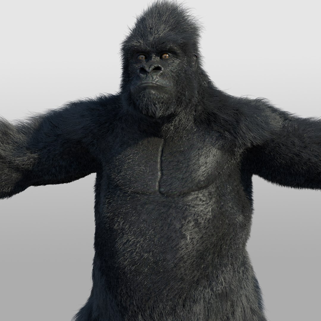 3d Ape Primate Gorilla Model