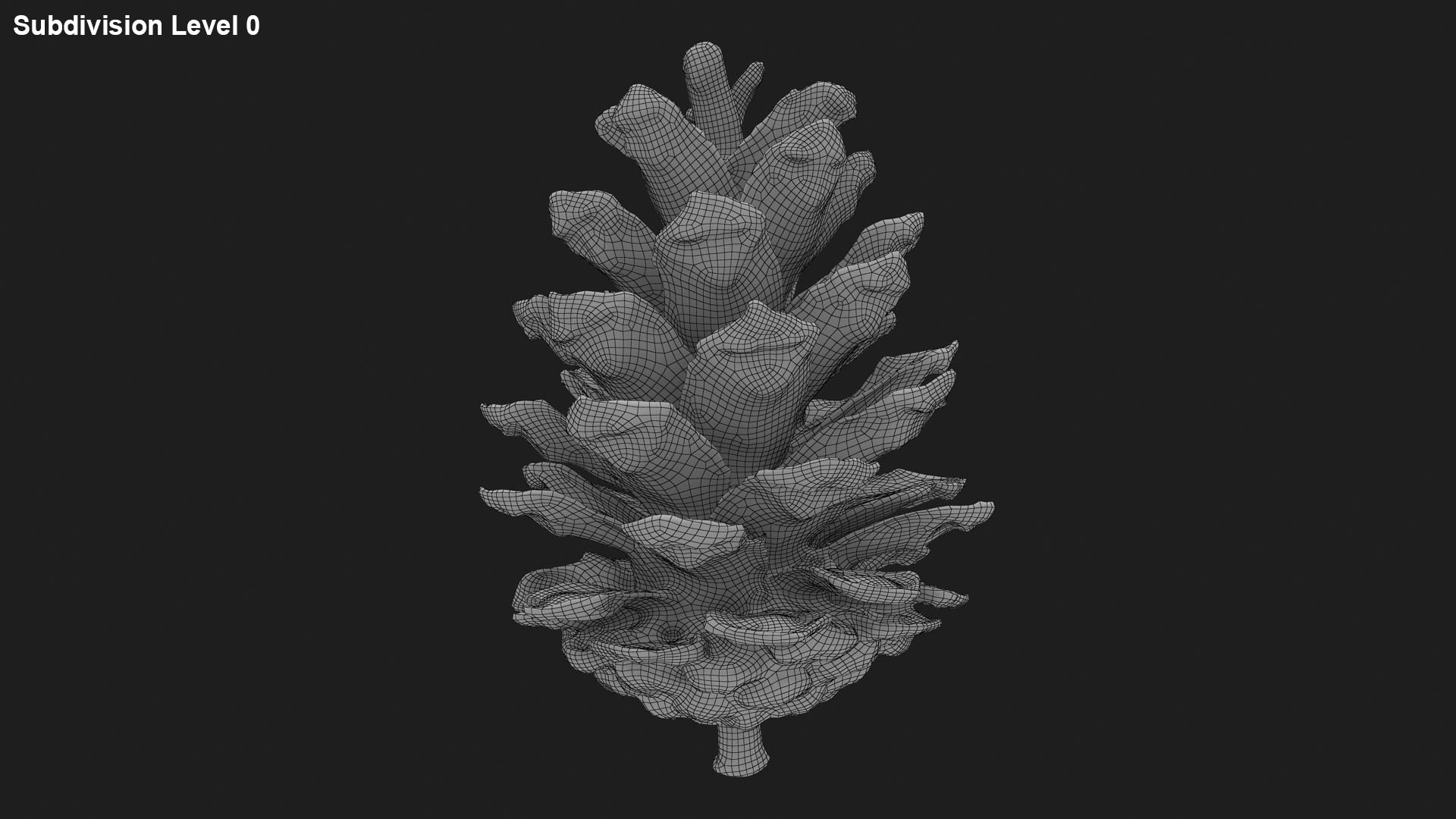 3D Pine Cone Collection - TurboSquid 2303425