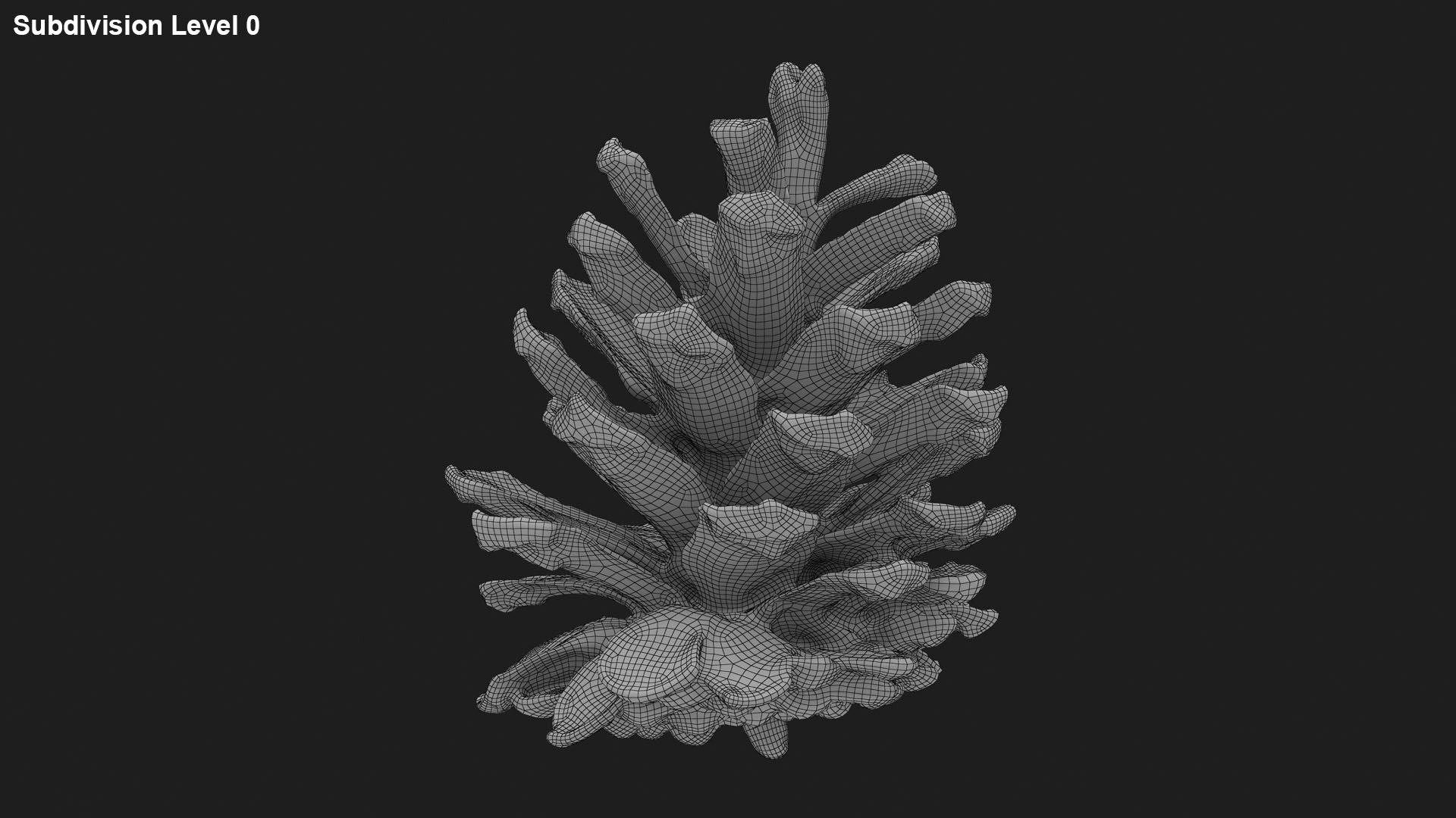3D Pine Cone Collection - TurboSquid 2303425