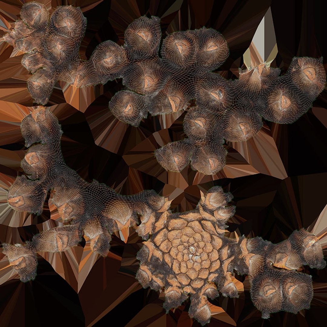 3D Pine Cone Collection - TurboSquid 2303425