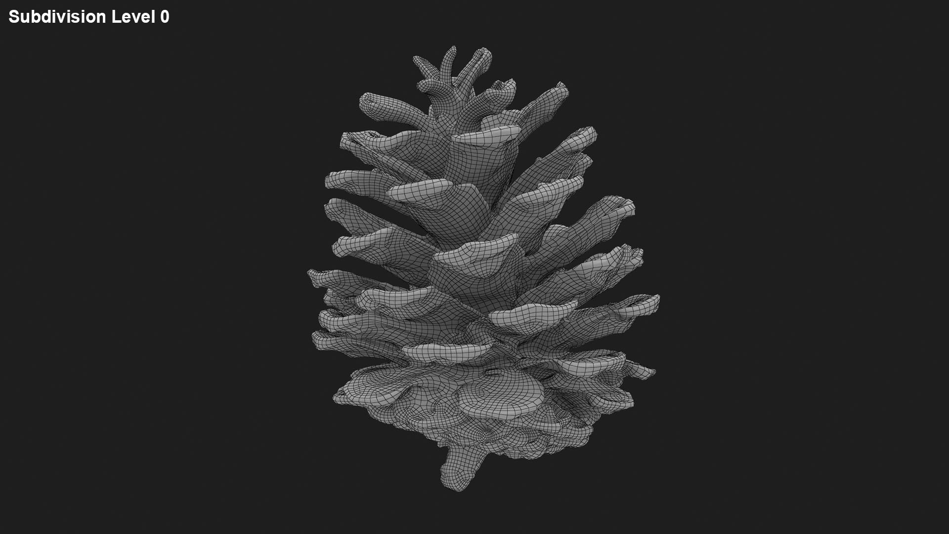 3D Pine Cone Collection - TurboSquid 2303425