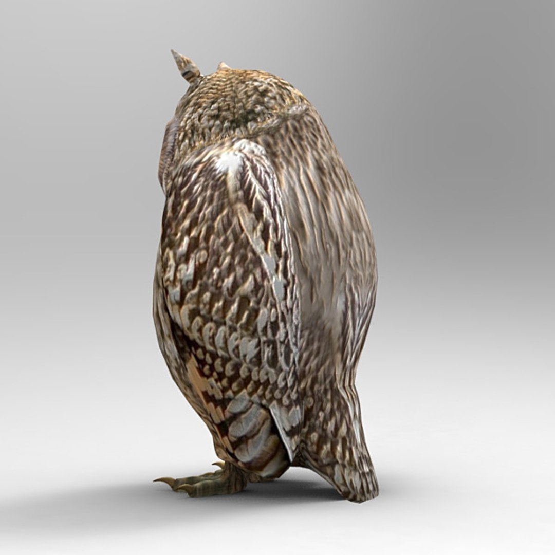 3d Owl