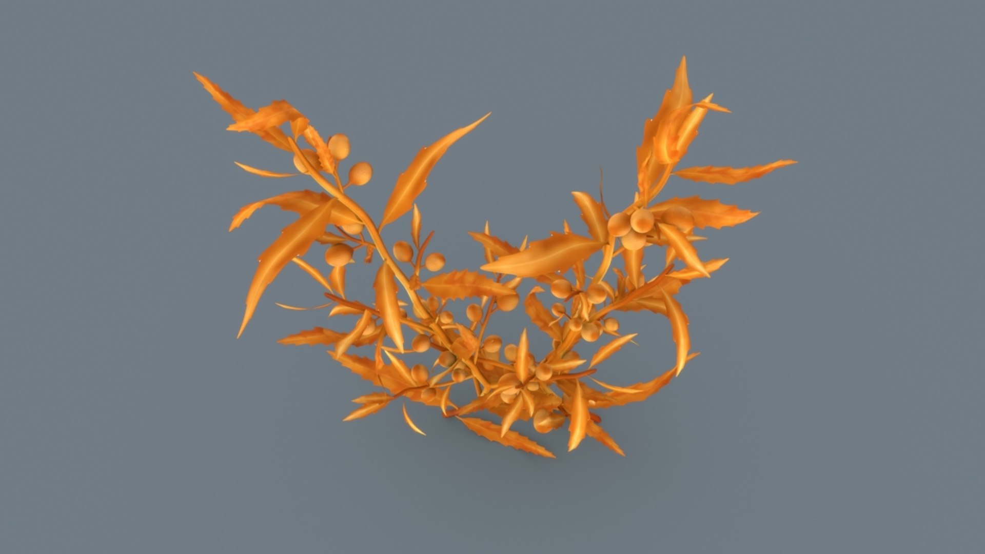 Sargassum phaeophyceae macroalgae model - TurboSquid 1236734
