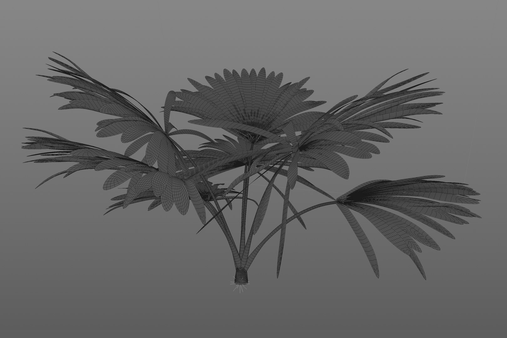 3D Model Palm Tree Leaves - TurboSquid 2165597