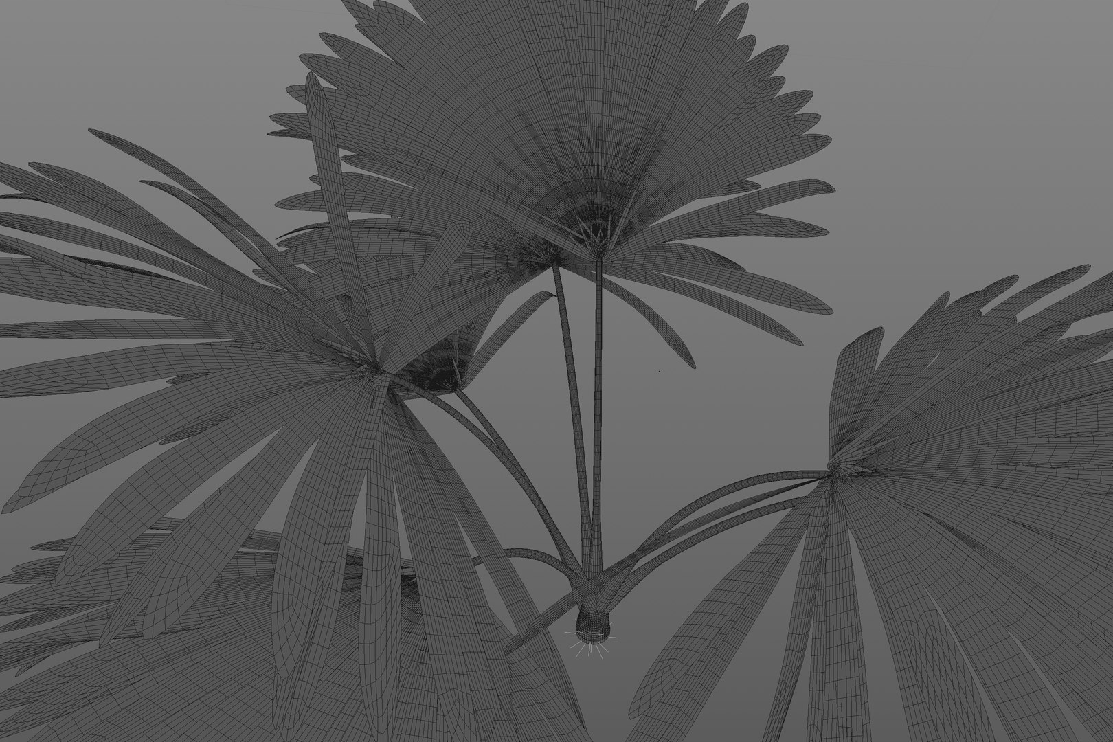 3D Model Palm Tree Leaves - TurboSquid 2165597
