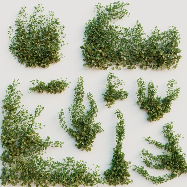 Ivy 3D Models for Download | TurboSquid