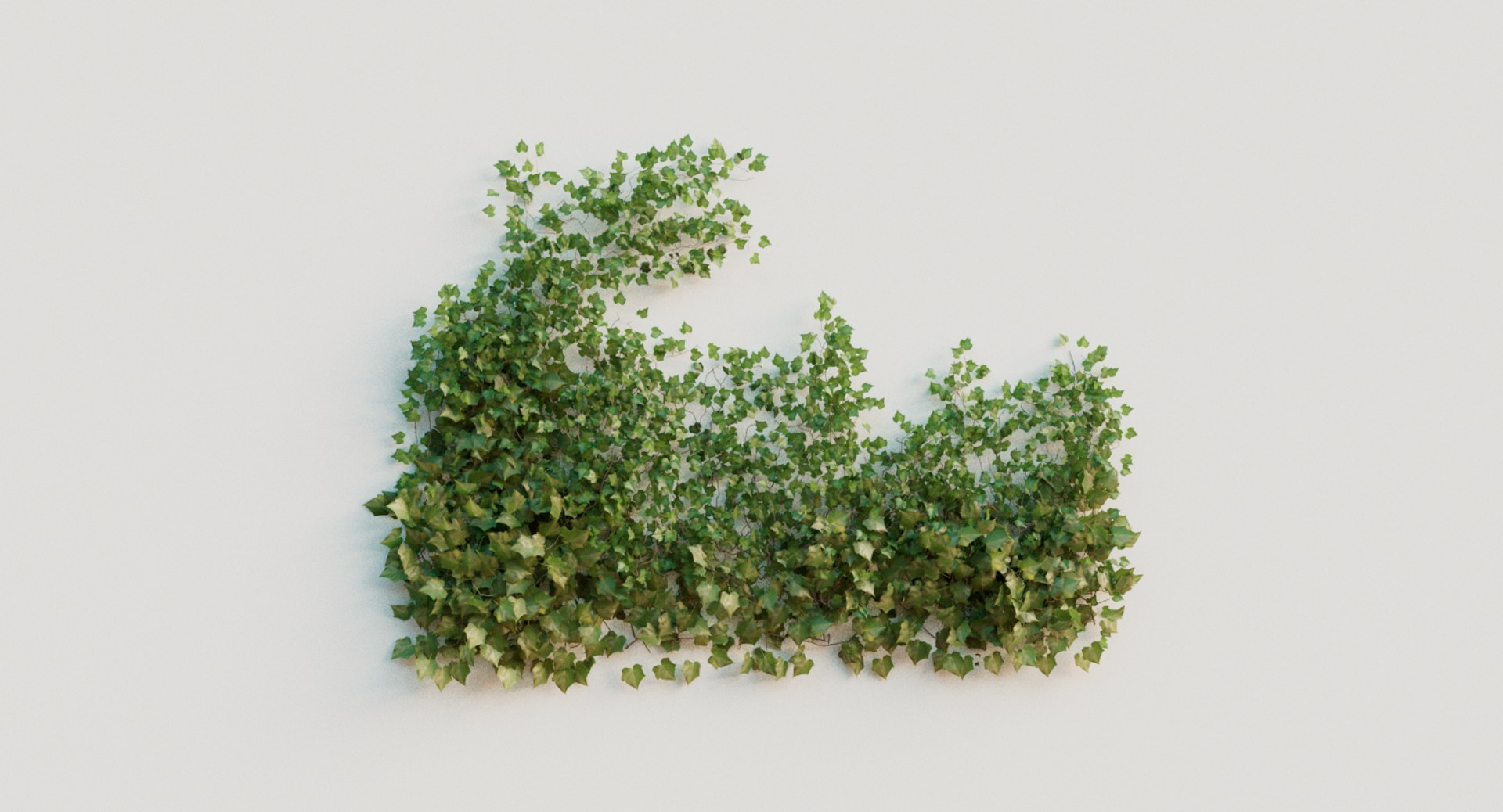 3D Ivy Plant Model - TurboSquid 1598358
