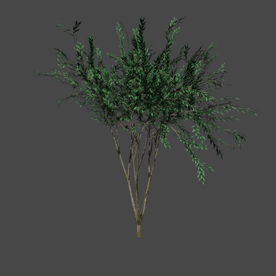 Tree Pbr Model - TurboSquid 1528834