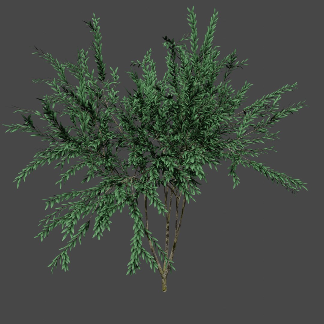 Tree Pbr Model - TurboSquid 1528834
