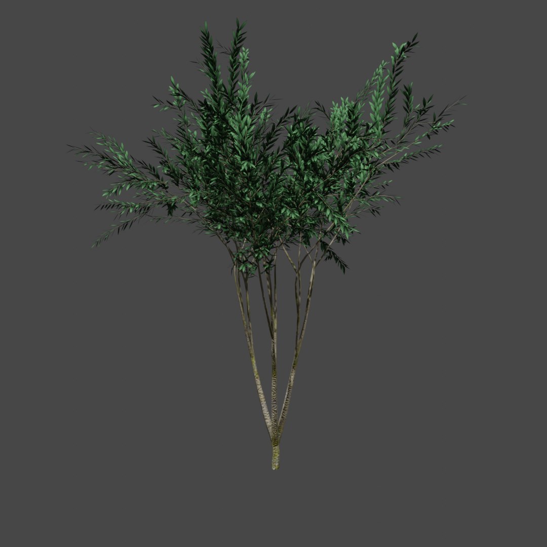 Tree Pbr Model - TurboSquid 1528834